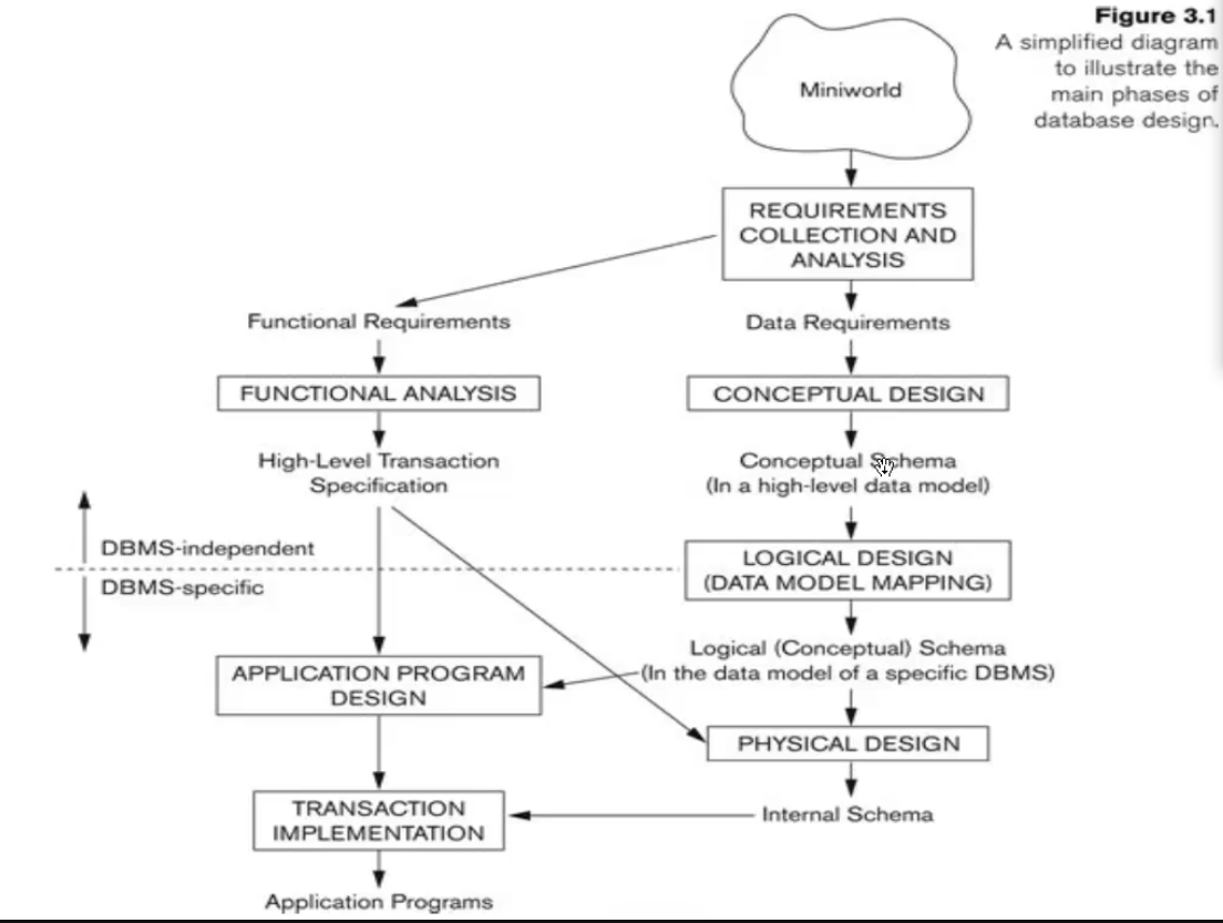 Database Design Process Cs Web 